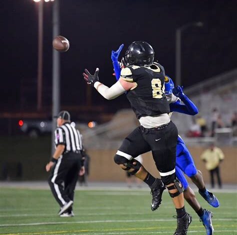 Relic Boundary Definition: A Comprehensive Guide - Ogma Blogger