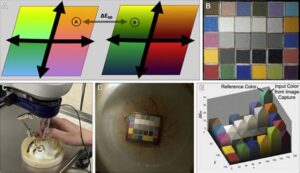Delta E: Quantifying Color Differences