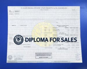 Cal State LA Transcripts: A Comprehensive Guide