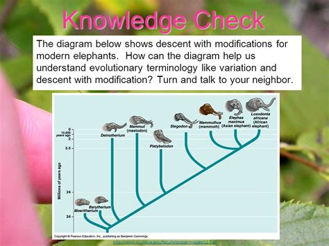 Descent with Modification: Understanding the Process of Evolution