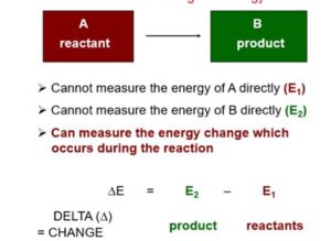 Thermodynamics: The Driving Force Behind Chemical Reactions